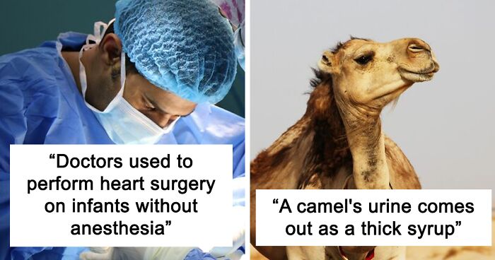 30 Disturbing Facts That People Probably Shouldn’t Have Shared But Did ...