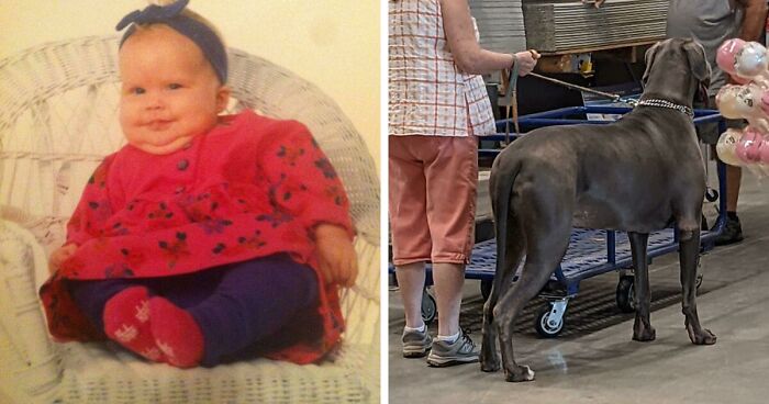 50 Times People Spotted ‘Absolute Units’ And Shared Them In This Online ...