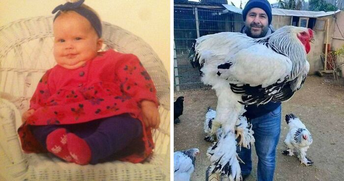 50 Times People Spotted ‘Absolute Units’ And Shared Them In This Online ...