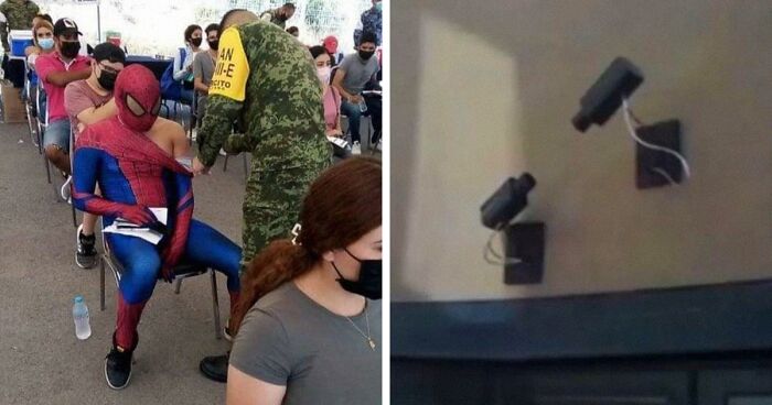 50 Funny Photos Without Context That Get Weirder The Longer You Look At ...