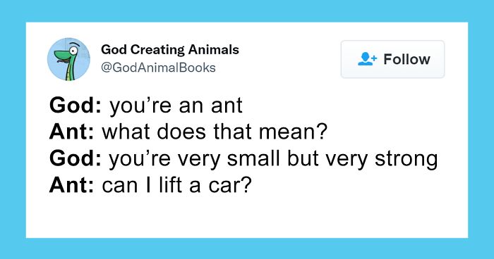Here’s What God Must’ve Told The Animals While He Was Creating Them (30 ...