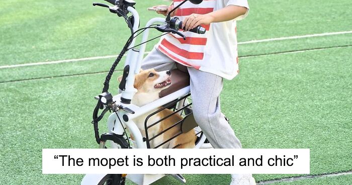 The Japanese Have Invented A Pet-Friendly E-Bike Called A Mopet, And It ...