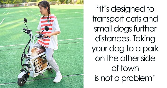 The Japanese Have Invented A Pet-Friendly E-Bike Called A Mopet, And It ...