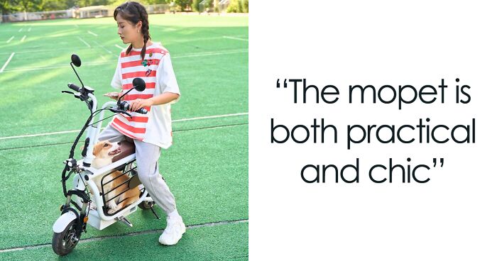 The Japanese Have Invented A Pet-Friendly E-Bike Called A Mopet, And It ...