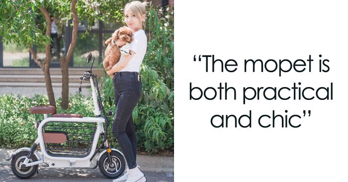 The Japanese Have Invented A Pet-Friendly E-Bike Called A Mopet, And It ...