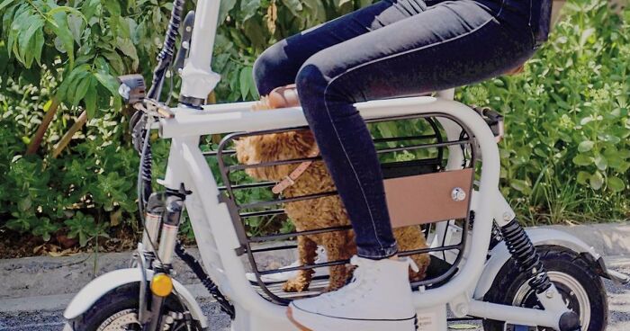 The Japanese Have Invented A Pet-Friendly E-Bike Called A Mopet, And It ...