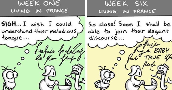 30 New Comics That Show The Funny Differences Between Different ...