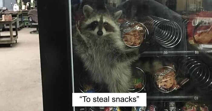 “There Was An Attempt”: People Share The Worst Fails They’ve Seen (50 ...