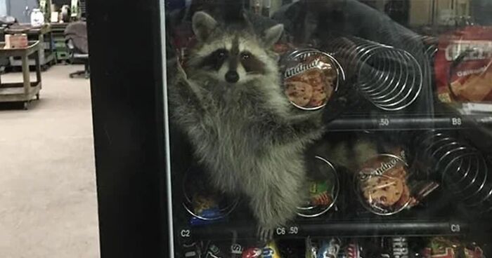 “There Was An Attempt”: People Share The Worst Fails They’ve Seen (50 ...