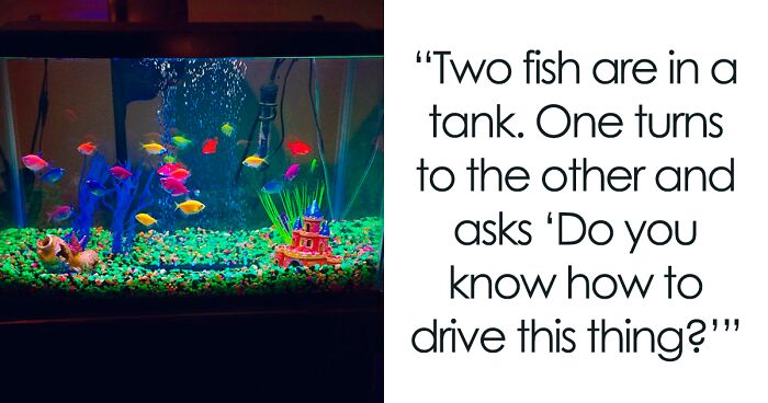 30 People In This Online Group Reveal Their Best Jokes That Hardly Ever ...