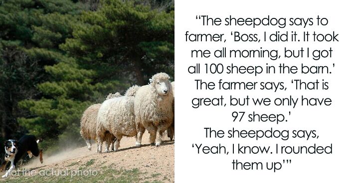 30 People In This Online Group Reveal Their Best Jokes That Hardly Ever ...