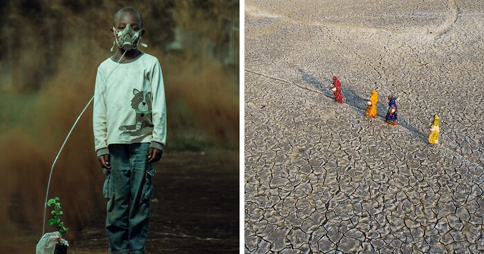 The Winners Of “The Environmental Photographer Of The Year 2021” Have ...
