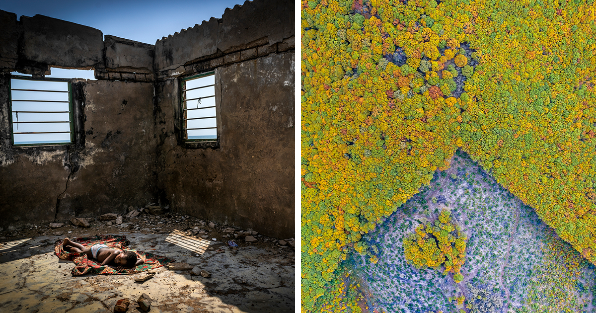 The Winners Of “The Environmental Photographer Of The Year 2021” Have ...