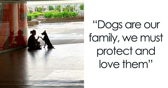 Woman Shows Her Selflessness When She Tries To Calm Her Dog During An ...