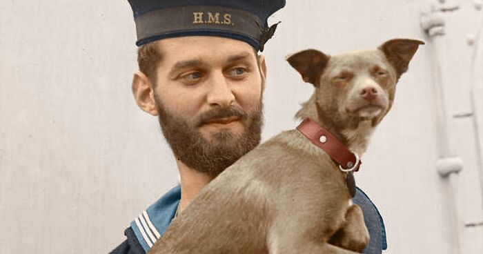 Remembrance Day: I Colorized 14 Photos Of Animals That Served In WW1 ...