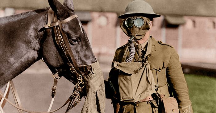 Remembrance Day: I Colorized 14 Photos Of Animals That Served In WW1 ...