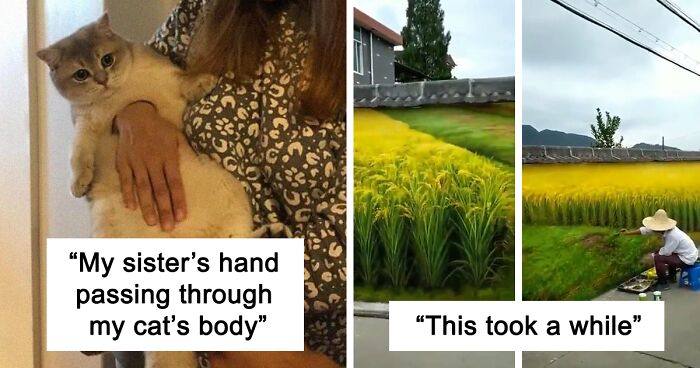 People In This Group Are Sharing 50 Seriously Confusing Pics That Need ...
