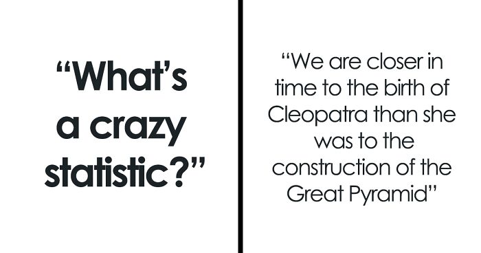 35 People Are Sharing The Craziest And Most Disturbing Stats They Know