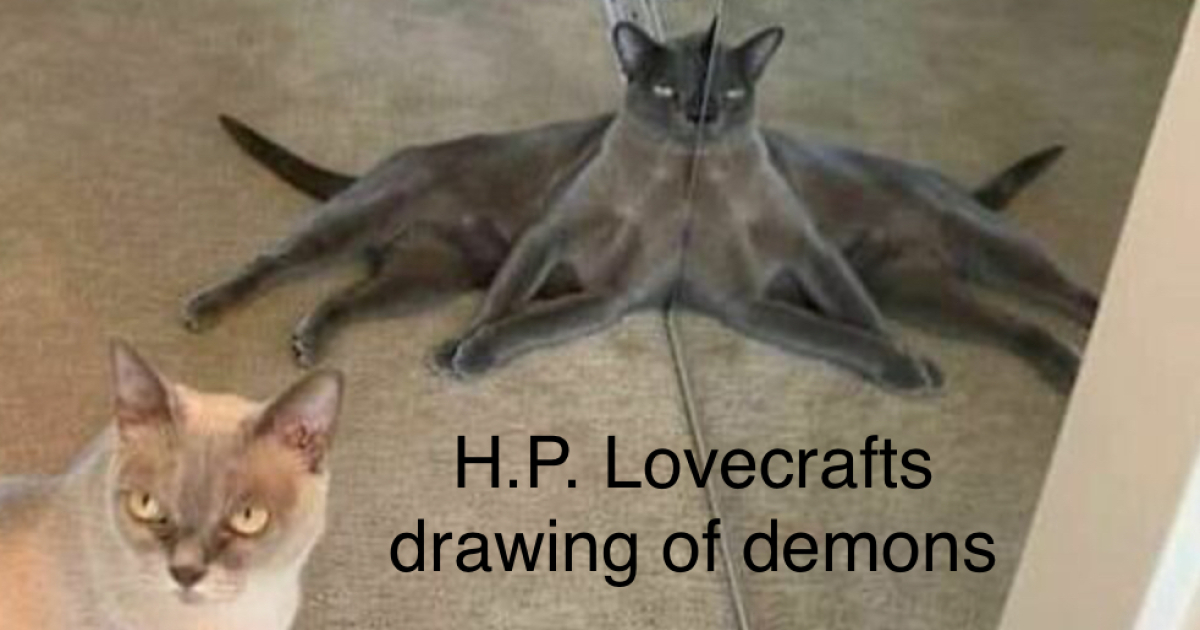 Hey Pandas, Post Cat Memes That Just Have To Be Shared (Closed) | Bored ...