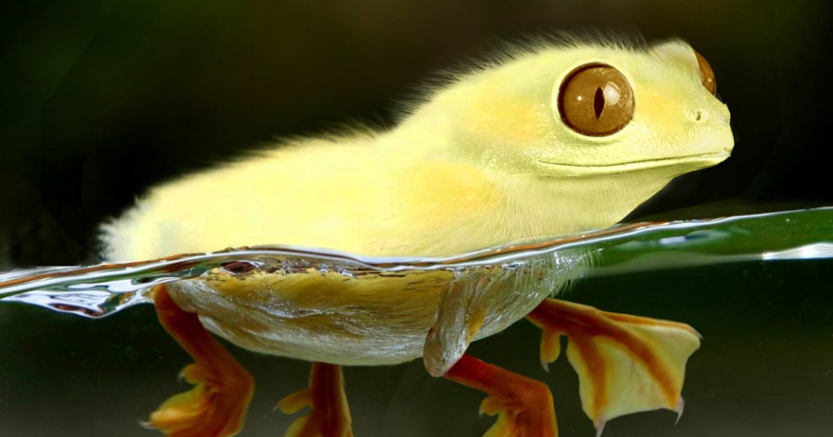 DesignCrowd Hosts A Frog Photoshop Contest, And Here Are 30 Of The Best ...
