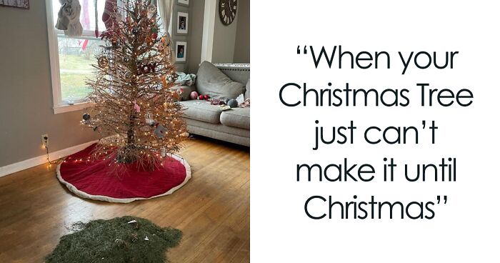 40 Of The Most Unfortunate Fails People Experienced On Christmas (New Pics)