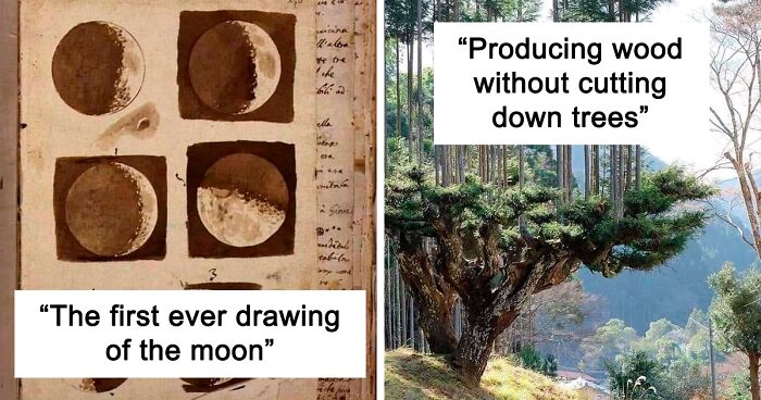 This Twitter Account Shares Interesting Historical Facts The World ...
