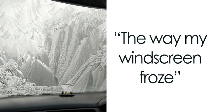 50 Times People Saw Something Odd In Nature And Shared It In This ...