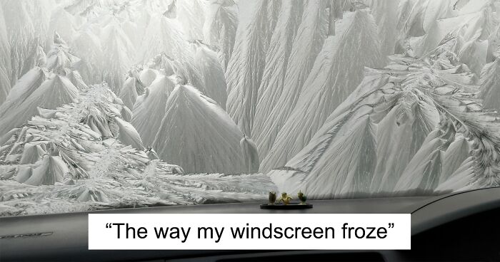 50 Times People Saw Something Odd In Nature And Shared It In This ...