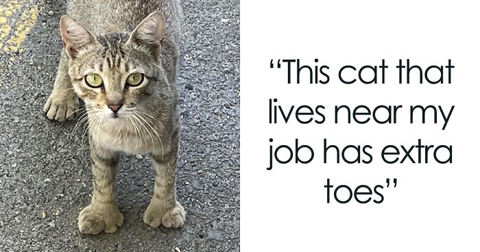 50 Times People Saw Something Odd In Nature And Shared It In This ...