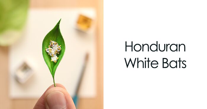 I Create Paper Cutting Illustrations Of Wild Animals To Raise Awareness ...