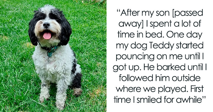 30 Times Pets Creeped Out Their Owners With Their Intelligence | Bored ...