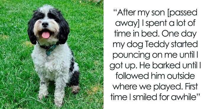 30 Times Pets Creeped Out Their Owners With Their Intelligence | Bored ...