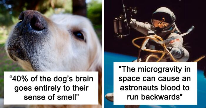 40 Random Facts That Sound Fake But Aren’t, Shared In This Online Thread