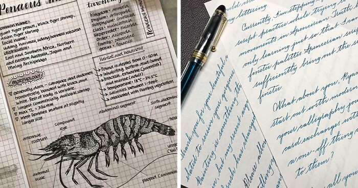 40 Times People Had Such Perfect Handwriting, It Gave Everyone An ...