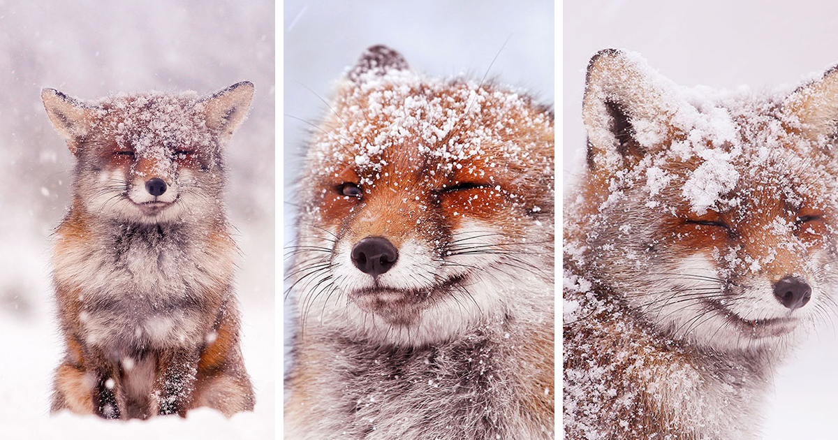 On A Day When It Was Snowing Harder Than Ever, I Decided To Hit The ...