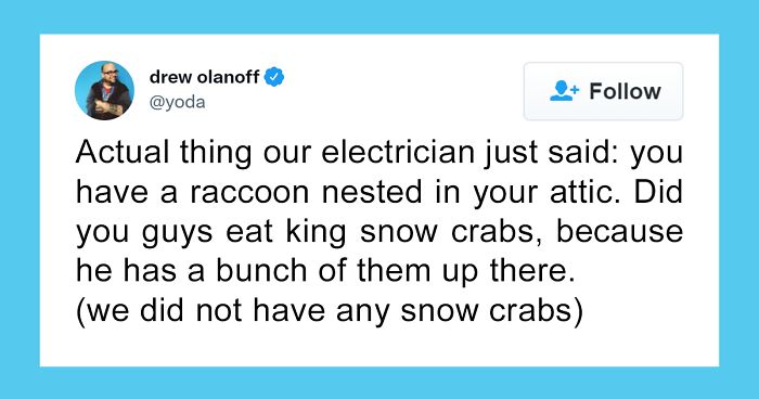 Mission “Raccoon Removal”: This Guy’s Live Tweets About How He’s Trying ...