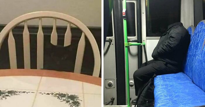 People Share Accidental Camouflage Examples And Here Are 50 Of The Best ...