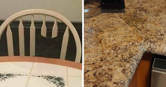 People Share Accidental Camouflage Examples And Here Are 50 Of The Best ...