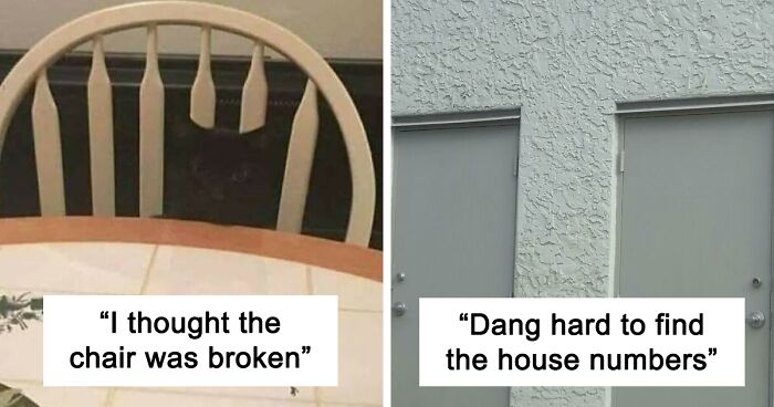 People Share Accidental Camouflage Examples And Here Are 50 Of The Best ...