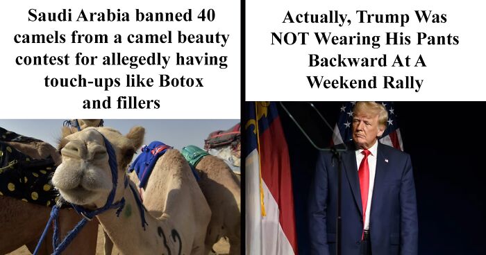 26 Weird Things That Happened In 2021 That Somehow Made The News