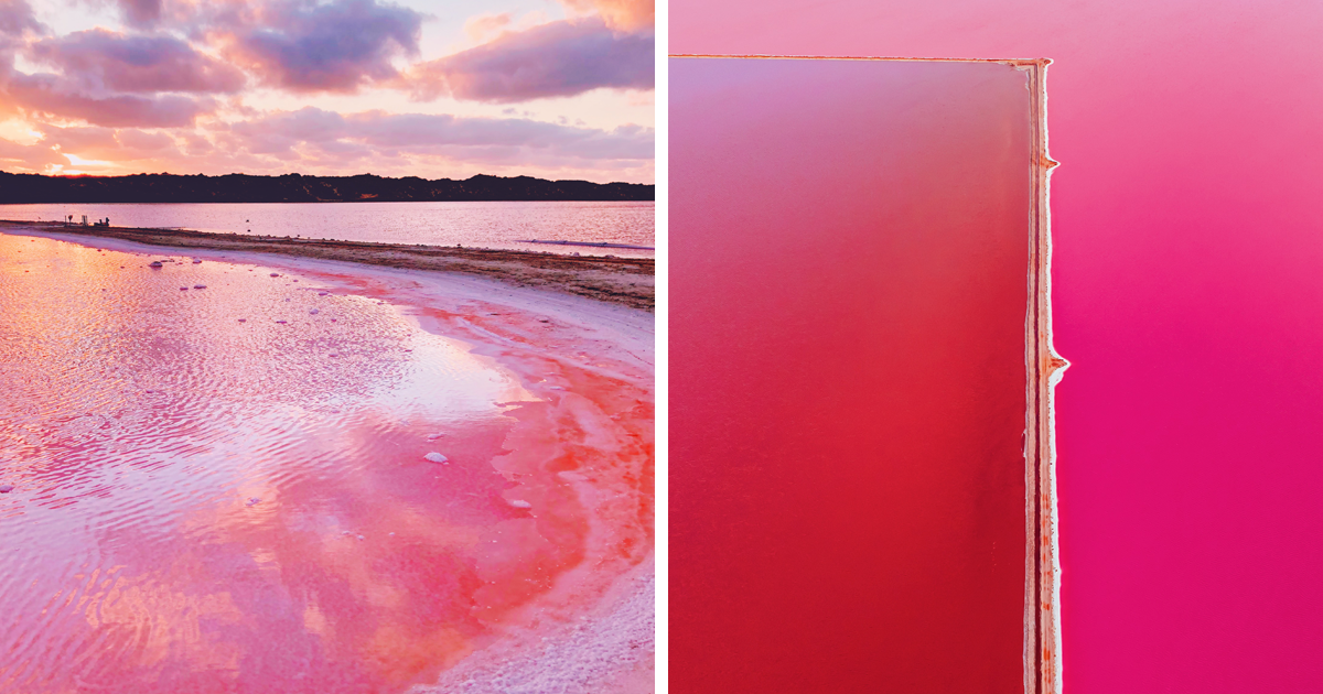 I Captured The Magic Of Pink Lagoon In Western Australia (20 Pics ...