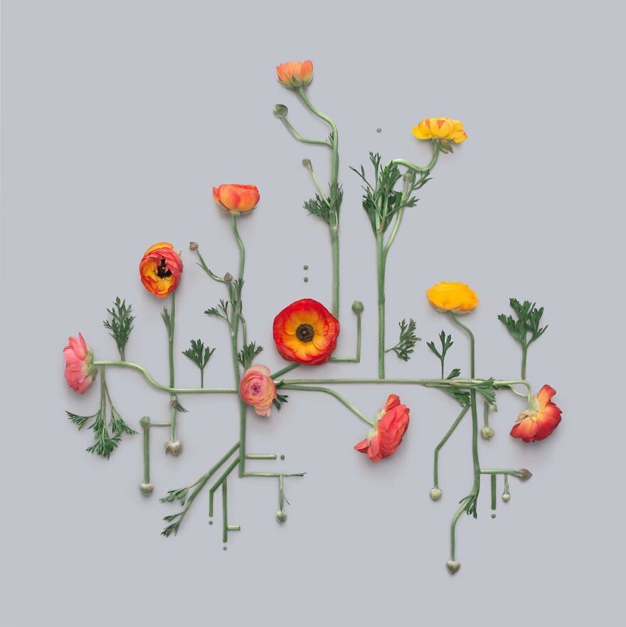 Artist Arranges Everyday Objects To Make Perfect-Looking Art Pieces ...