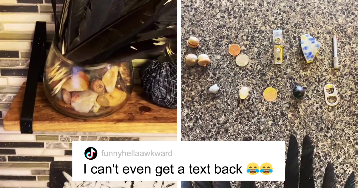 This Woman Befriended The Crows And Now Receives The Most Random Gifts ...