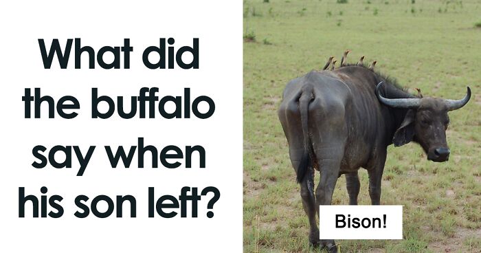 40 Bad Jokes That Are Impressively Good