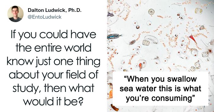 35 Scientists Share That “One Science Fact” They Wish The Whole World ...