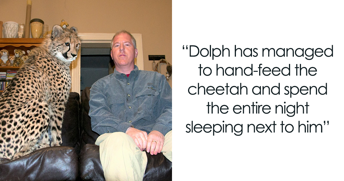 Meet Dolph, A Man Who Became Best Friends With A Wild Cheetah | Bored Panda