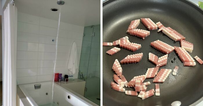 This Online Group Is Dedicated To ‘Mildly Interesting’ Stuff, And Here ...