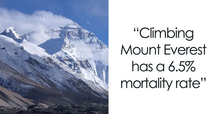 People Are Sharing 35 Not Fun Facts They Wish They Didn’t Know | Bored ...