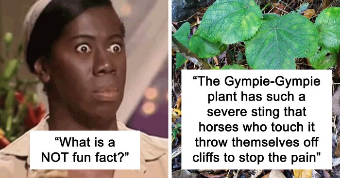 People Are Sharing 35 Not Fun Facts They Wish They Didn’t Know | Bored ...