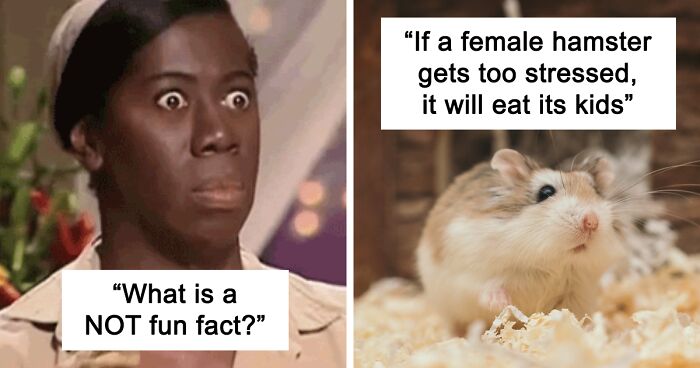 People Are Sharing 35 Not Fun Facts They Wish They Didn’t Know | Bored ...